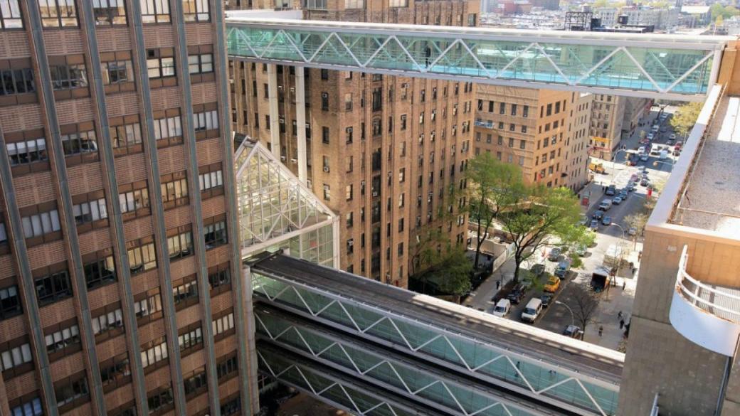 Columbia Rheumatology and Clinical Immunology