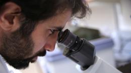 Our Research | Columbia Rheumatology and Clinical Immunology